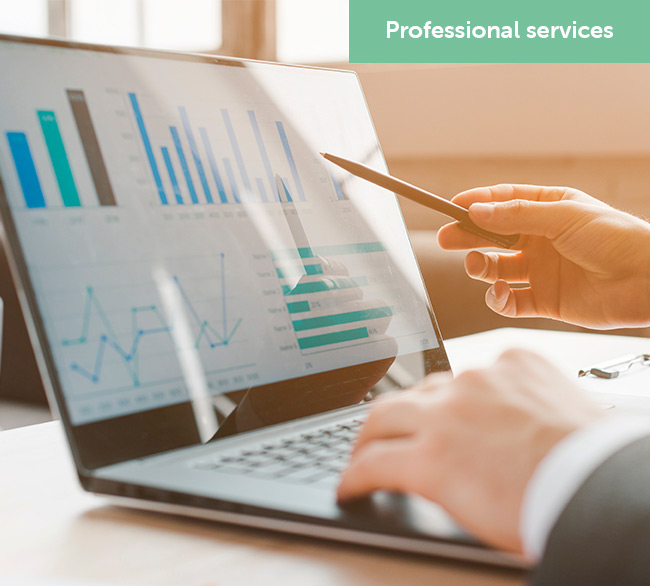 Professional services business - Oasis Partners